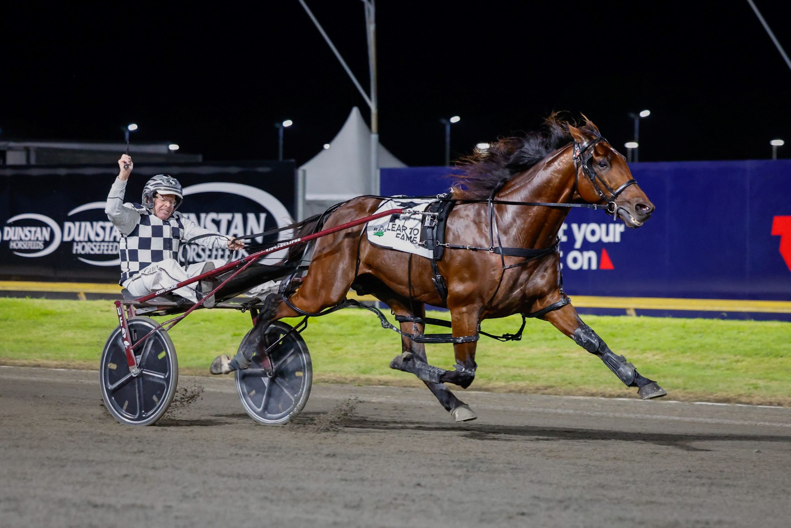 Leap To Fame returns to chase third Inter Dominion crown - Inter Dominion